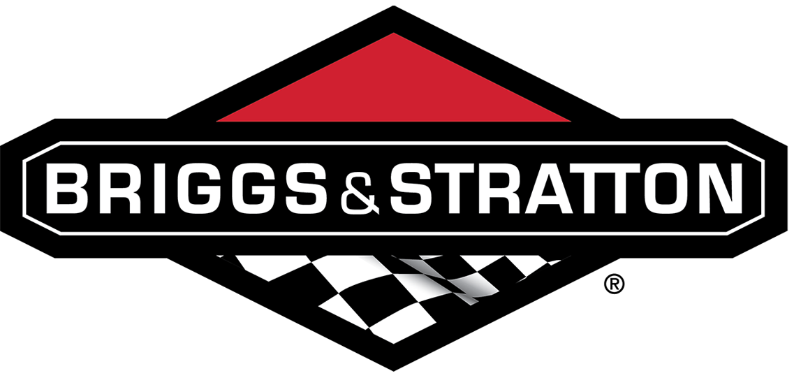 Innovative Karting | Briggs & Stratton Engines